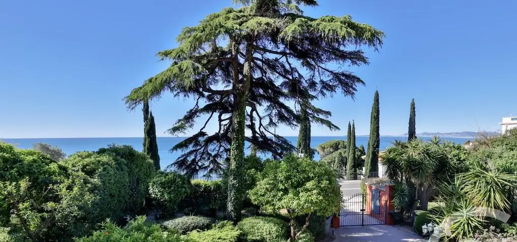 Nice Mont Boron; an exclusive mountain on the Côte d'Azur